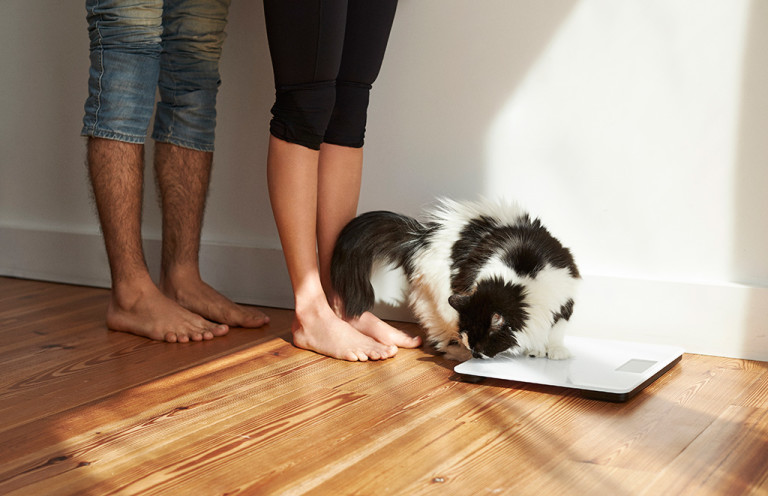 Review: Polar Balance scale - Gadgets & Wearables