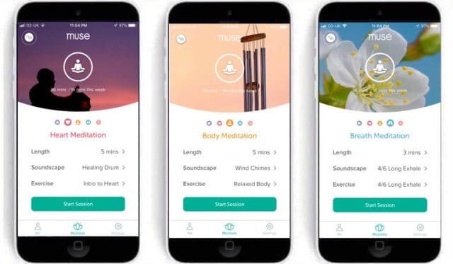REVIEW: Muse 2, the brain sensing device that helps you chill
