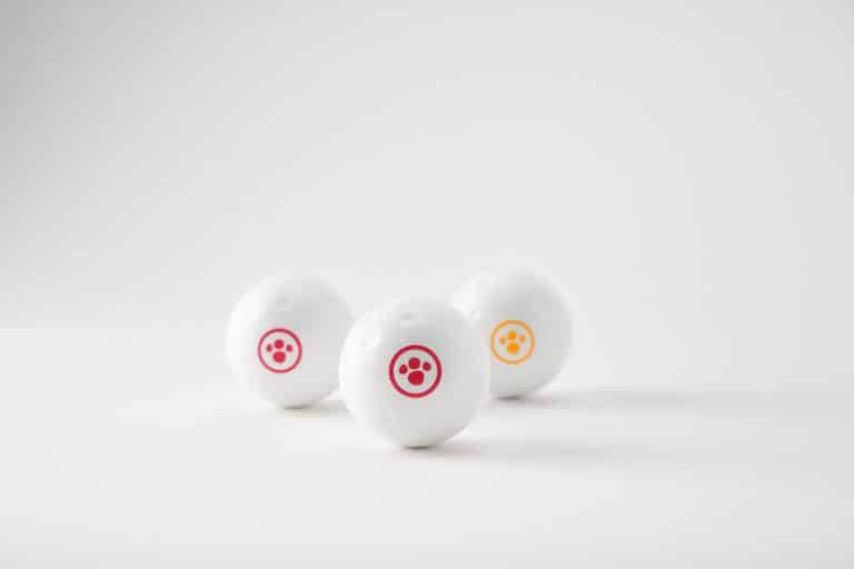 GOMI: the smart pet toy that provides hours of entertainment & exercise