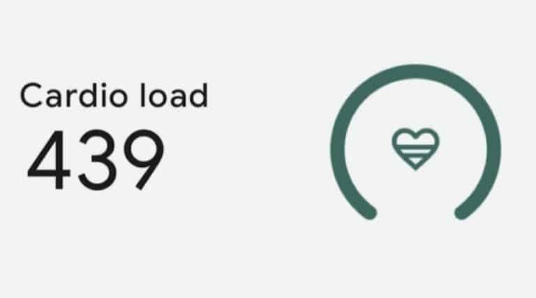 Fitbit's Cardio Load & Target Load start to appear on devices